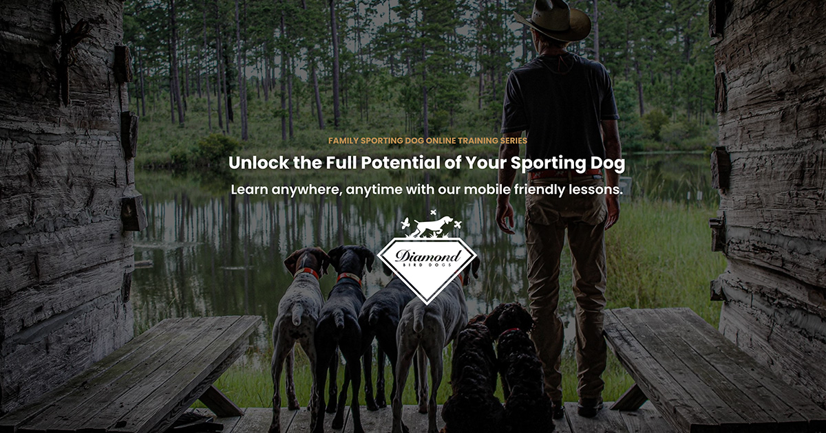 Contact | Diamond Bird Dogs